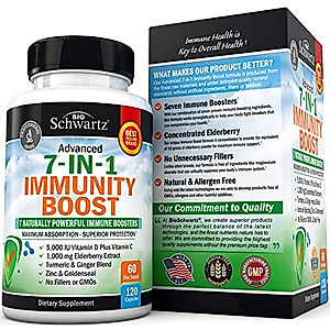 Immune Support Supplement with Zinc Vitamin C Vitamin D 5000 IU Elderberry Ginger D3 Goldenseal - Dr Approved Immunity Vitamins for Adults Women and Men - Natural Immune System Booster Defense -120ct
