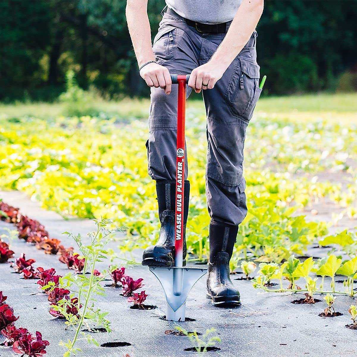 Garden Weasel Bulb Planter - Long Handle | Annuals, Ground Cover, Vegetables, Spring and Fall Bulbs | Sod Cutter, Remover, and Plugger, Grass Planter, Bulb Planting Tool | 91350