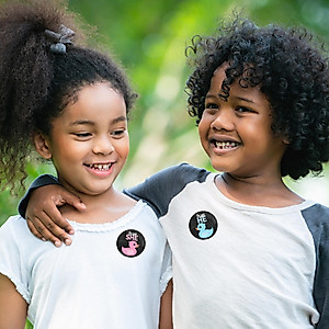 What The Duck are They Having Gender Reveal Party - Rubber Duck Team He or Team She - 40 Stickers