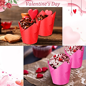 200 Pcs Tulip Cupcake Liners Muffin Baking Cupcake Liners Baking Cups Holders Heat Resistant Muffin Liners Wrappers for Wedding Party Birthday Baby Shower Party (Vivid Color)
