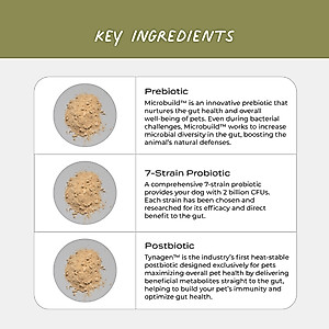 CYMBIOTIKA Dog Probiotic+, Probiotics for Dogs, Gut Health & Immune Support Supplement with Digestive Enzyme and Green Blend, Prebiotics, Postbiotics, Supplements for Dogs, Pumpkin Flavor, 50 Chews