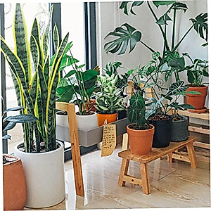 English Cucumbers 5pcs Plant Climbing Frame Orchid Plant Rose Plant Outdoor Fencing Indoor Trellis English Cucumbers Iron Green Plant Support Garden Fencing Plant Stake Support