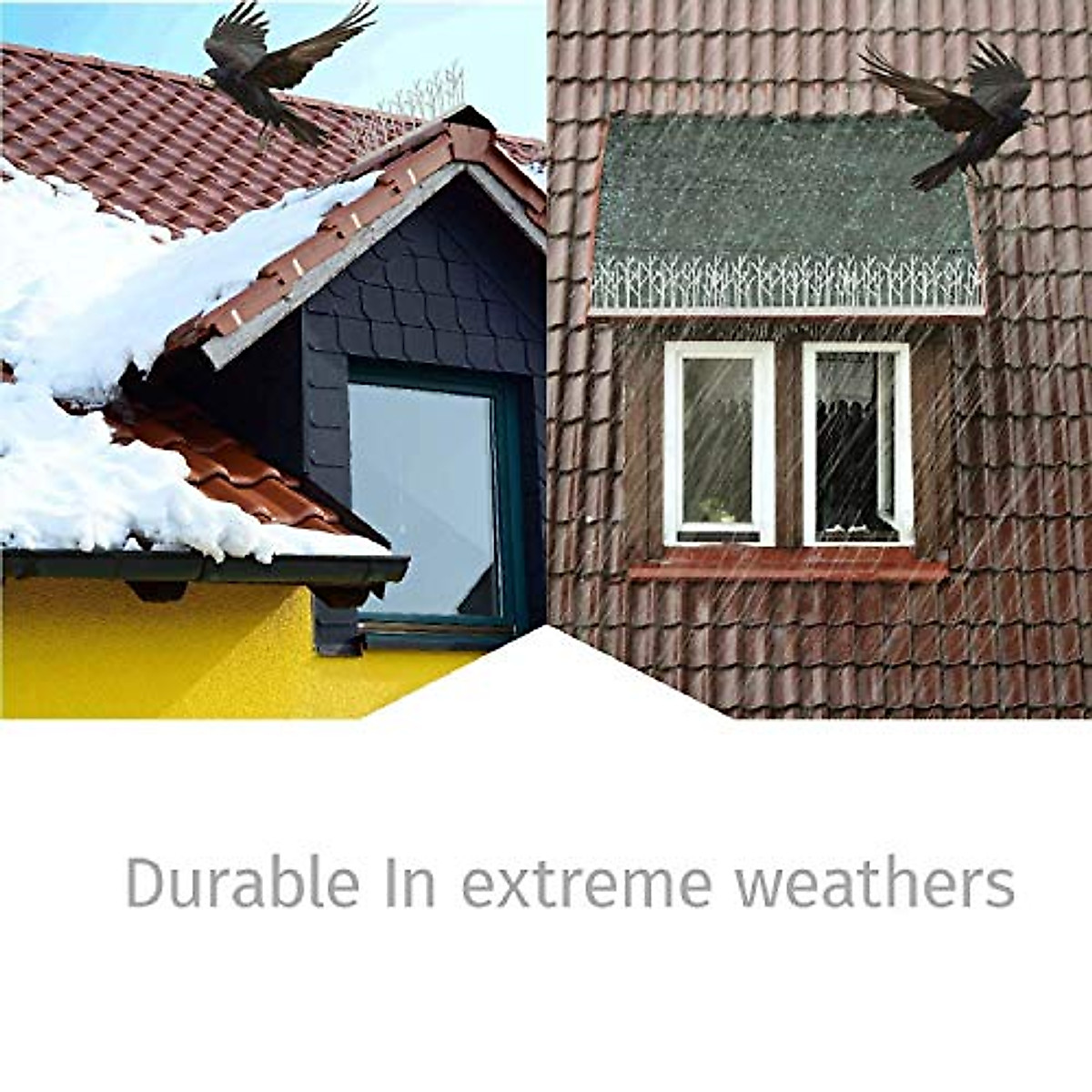 Aspectek Plastic Polycarbonate Bird Spikes Kit with Adhesive Glue, Covers 10 Feet