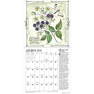 Backyard Foraging 2021 Calendar: Discover Edible Plants and Kitchen Inspiration