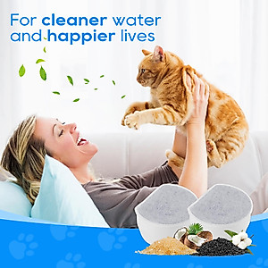 MyfatBOSS Replacement Carbon Filters for Drinkwell, Cat Water Fountain Filter, Dog Pet Fountain Filters Compatible with Petsafe Water Fountains Seaside Creekside Pagoda Seascape Butterfly Avalon 10PCS