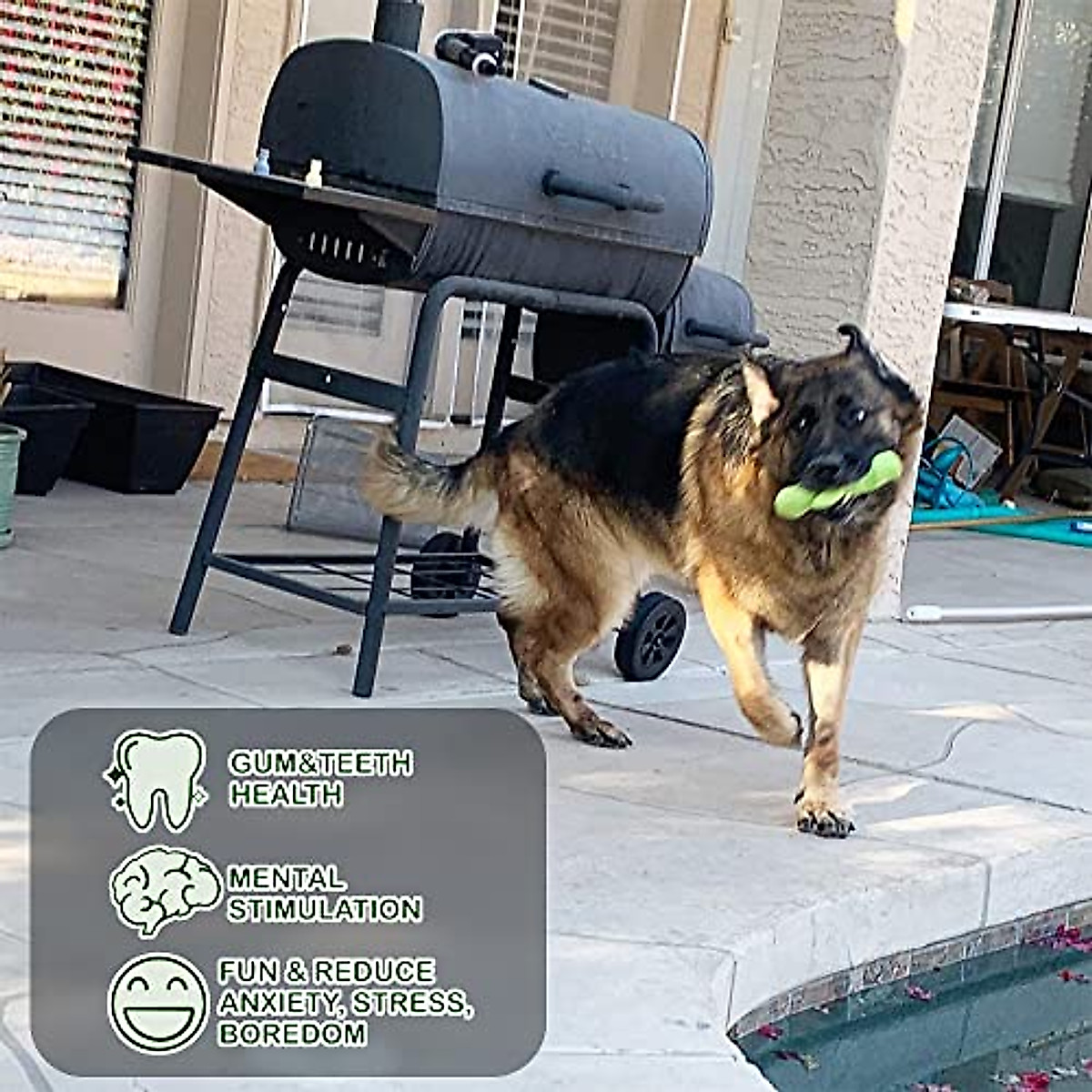 Jalousie 18 Pack Dog Squeaky Toys Cute Stuffed Pet Plush Toys Puppy Chew Toys for Small Medium Dog Puppy Pets - Bulk Dog Squeaky Toys