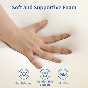 HOMBYS Ergonomic Curvy Foam Massage Bed Mattress Topper, Massage Table Mattress Topper with Removable Velvet Cover, Non-Slip Lash Bed Cushion Only for Beauty Salon(Bed Not Included)