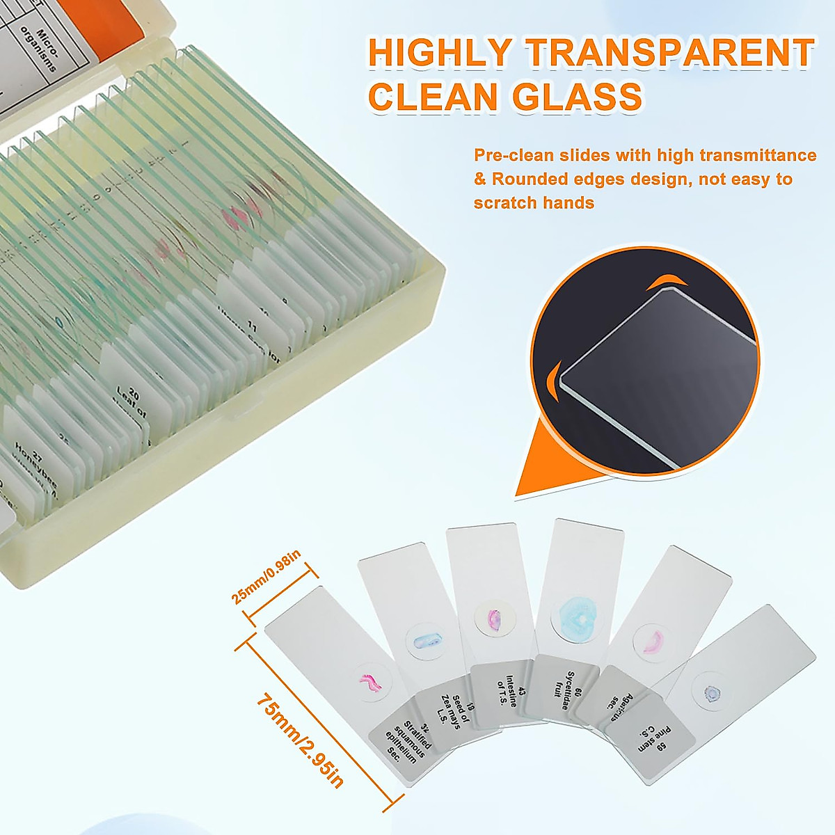 HUAREW 30 Pcs Microscope Slides with Specimens for Kids, Glass Prepared Slides Set for Microscope Accessories, Biology Gifts and Basic Science for Kid Education