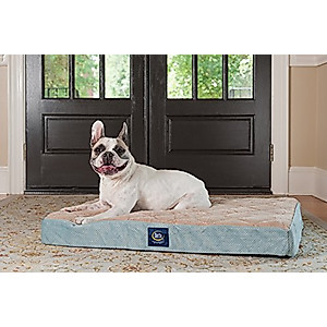 Serta Ortho Quilted Pillowtop Pet Bed, Large, Blue