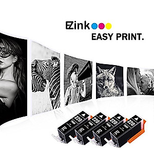 E-Z Ink (TM Compatible Ink Cartridge Replacement for Canon PGI-220 PGI220 to use with MX860 MX870 MP560 MP620 MP640 MP980 MP990 IP3600 IP4600 iP4700 Printer (Large Black, 4 Pack)
