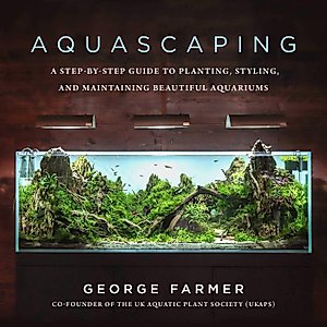 Aquascaping: A Step-by-Step Guide to Planting, Styling, and Maintaining Beautiful Aquariums
