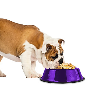 Platinum Pets Non-Tip Stainless Steel Dog Bowl, 28 Oz, Electric Purple, Medium