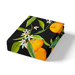 Feelyou Fruit Duvet Cover Set Fresh Oranges Vibrant Bedding Set for Kids Boys Girls Cartoon Citrus Fruit Comforter Cover Set Orange and Black Quilt Cover Bedroom Collection 3Pcs Queen Size