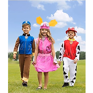 Rubies Paw Patrol Child's Skye Costume for Themed Parties and Halloween, Small