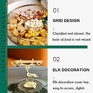 WMGoods Large Capacity Acrylic Serving Tray with 5 Compartments, Amber, 20"