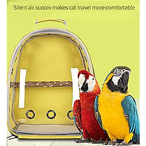 JingShi Bird Carrier Backpack Bubble Bird Travel Carrier Backpack with Standing Perch&Feeding Bowl Pet Parrot Space Capsule Transparent Backpack Breathable 360degree Sightseeing (Yellow)