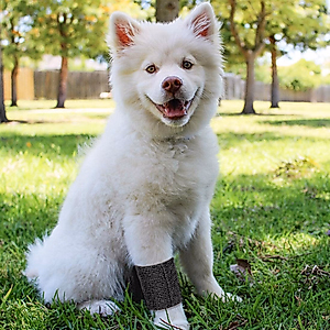 Juvale 12-Rolls Self Adhesive Bandage Wrap, Vet Tape - 2 in x 5 Yds Breathable, Elastic Cohesive Wrap Tape for Wrist, Swelling, Sports, Tattoo (Black)