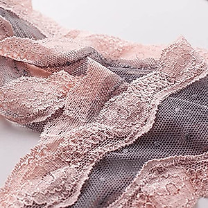 Kinple See Through Mesh Panty for Women Low Waist G-String Pantys Fashion Lace Wavy Edge Panties Trendy Elastic Underwear Gray