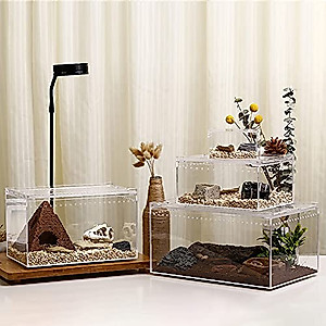 NANEEZOO Magnetic Acrylic Enclosure, 10x6x6 Inch Tall Long Case Reptile Habitat Terrarium cage for Terrestrial Arboreal Tarantula Scorpion Sling Isopods Lizards Invertebrates Insect Mantis