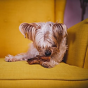 Pupford Beef Tendon Chews for Dogs | Cleans Teeth, Teaches Proper Chewing & Contains Glucosamine to Help Joints | Extra Thick, Long-Lasting, Natural Ingredients, Low Calorie (4 Count)