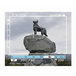 FUJIFILM FinePix X100 APS-C CMOS EXR Digital Camera with 23mm Fujinon Lens and 2.8-Inch LCD - International Version (No Warranty)