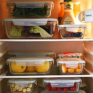 XYouyu Food Storage Containers Glass Food Storage Containers With Airtight Lids -Meal Prep Airtight Glass Bento Boxes BPA-Free (Set Of 3 Piece) Microwave, Oven Safe