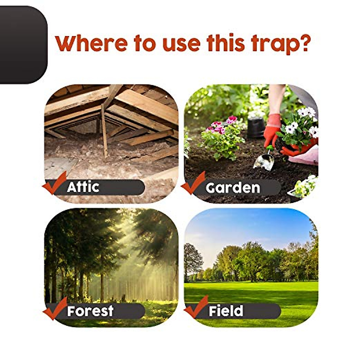 Squirrel Traps Outdoor - Squirrel Traps - Ouell Traps - Trap for Squirrels (Big)