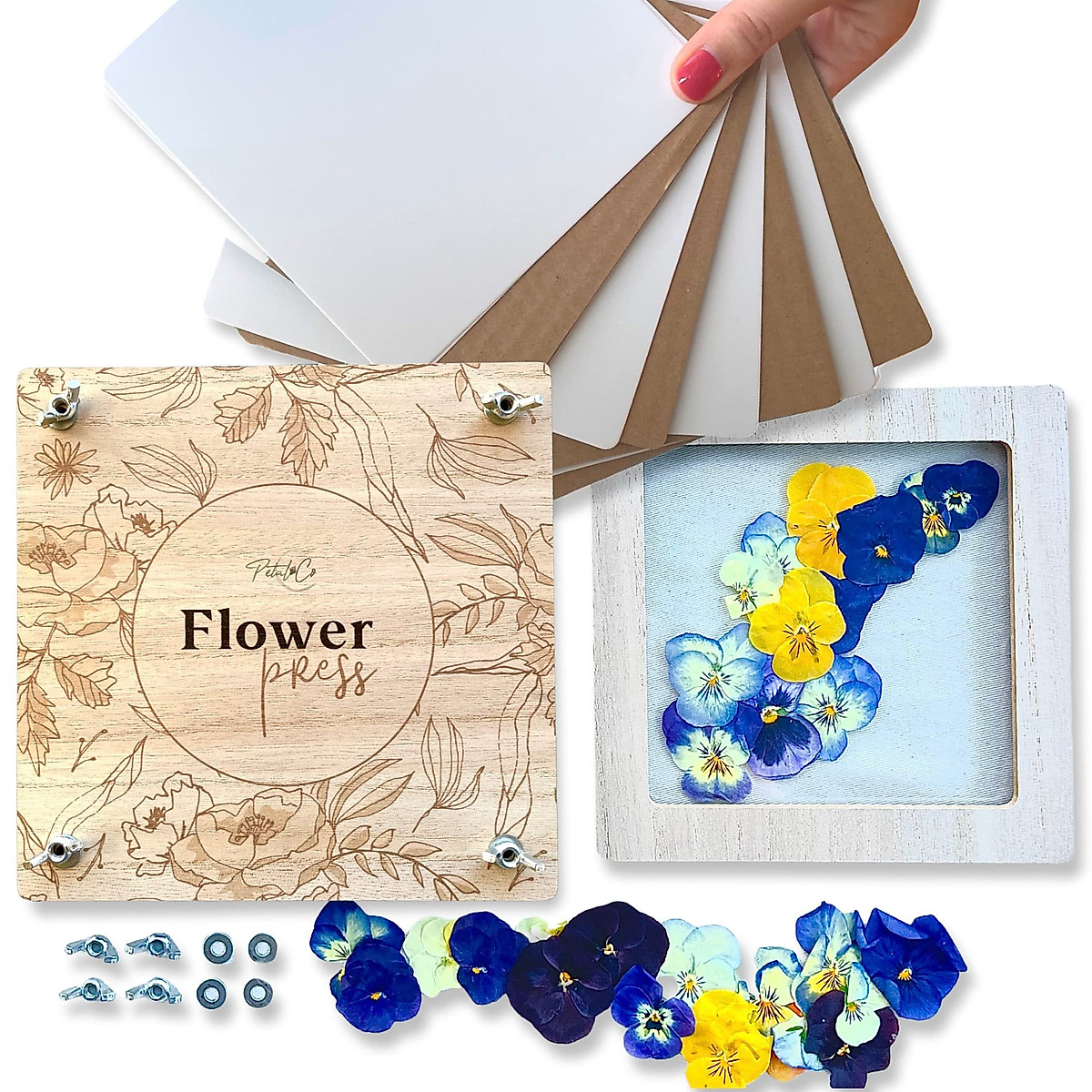Petal Co Wooden Flower Press 7inch x 7inch with Frame for pressed flowers and leaves including Ultimate Guide to Flower Pressing