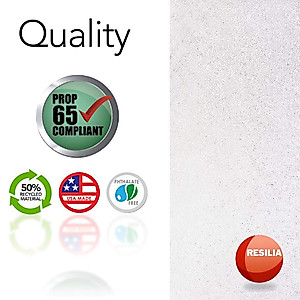 Resilia Office Desk Chair Mat - for Low Pile Carpet (with Grippers) Clear, 30 Inches x 48 Inches, Made in The USA