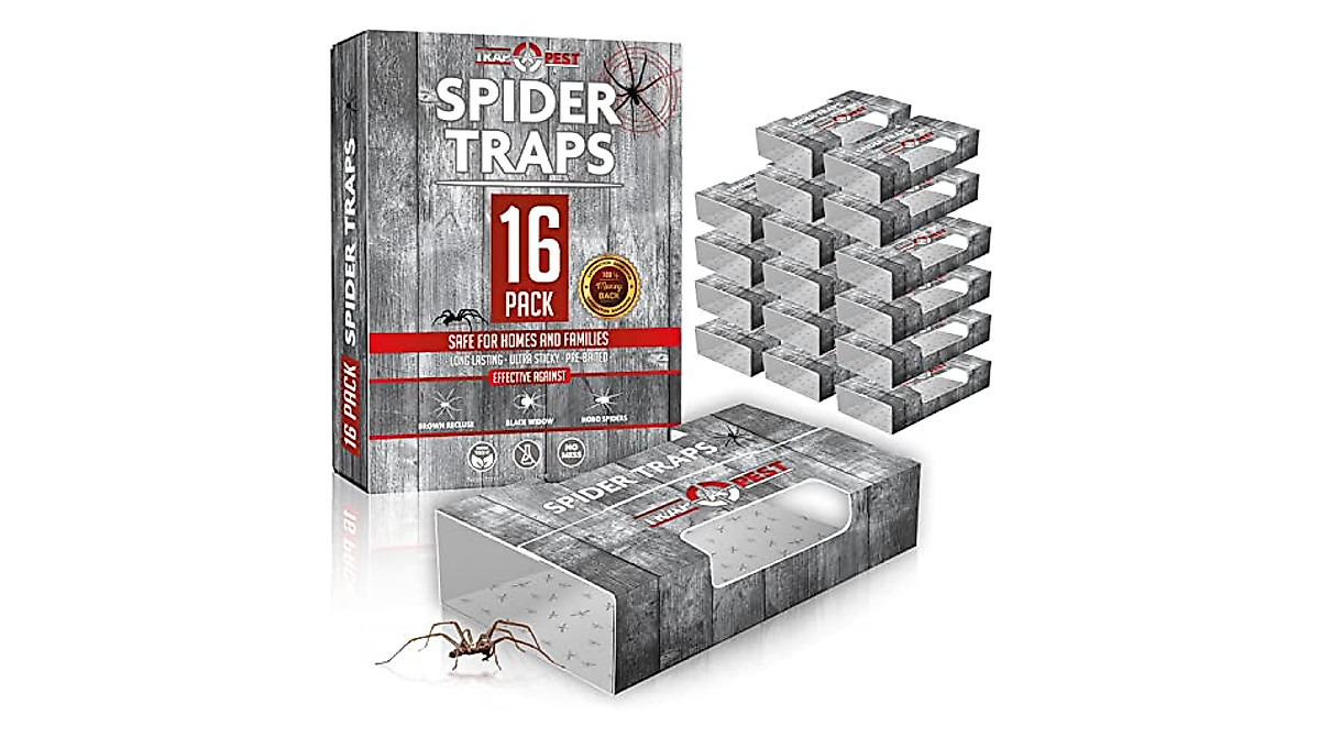 Effective Spider Traps for Home - 16 Pack