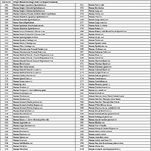100pcs/set Teaching Microscope Human Histology Glass Prepared Slides