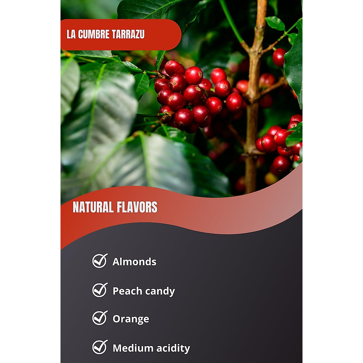 La Cumbre Specialty Coffee Whole Bean Medium Roast, Arabica Beans, Low Acid, Gourmet Whole Bean, Vegan, Kosher & Keto Friendly, Red Honey Process 12 oz, 2 Pack