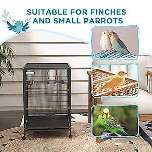 Pawhut Metal Bird Cage with Stand for Parrots, Lovebirds, Finches, Large Bird Cage with Swing, Stainless Steel Bowls, Removable Tray for Small Birds, Gray