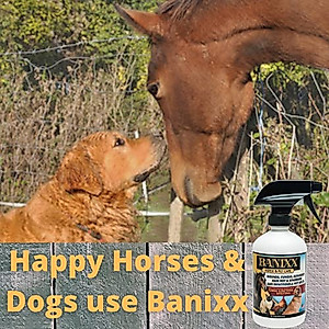 Banixx Horse and Pet Care 16 oz