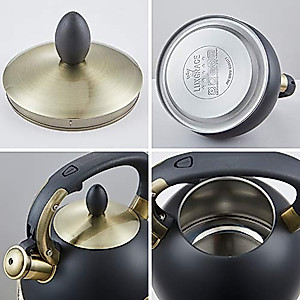 Tea Kettle -2.8 Quart Tea Kettles Stovetop Whistling Teapot Stainless Steel Tea Pots for Stove Top Whistle Tea Pot
