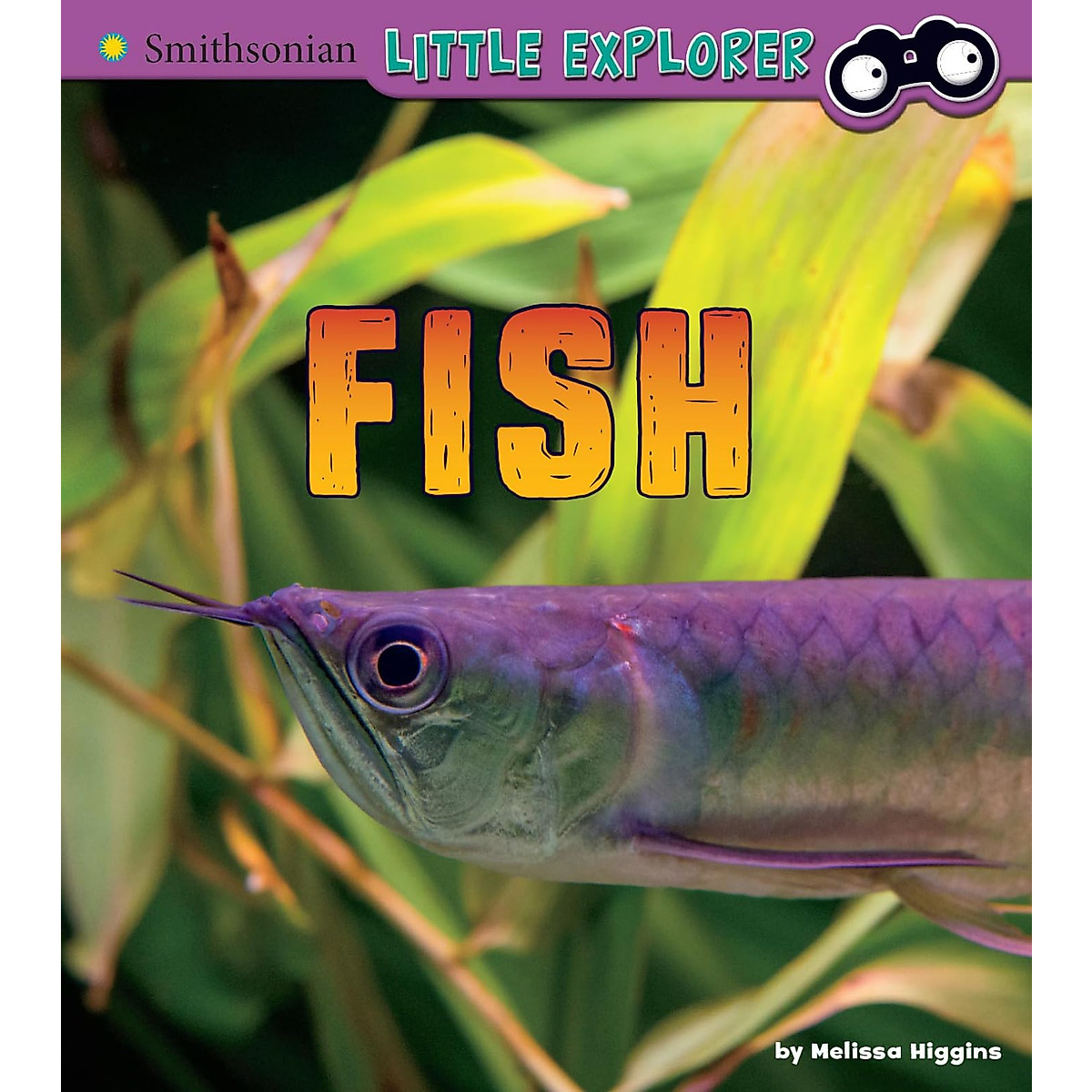 Fish: A 4D Book (Little Zoologist) (Smithsonian Little Explorer)