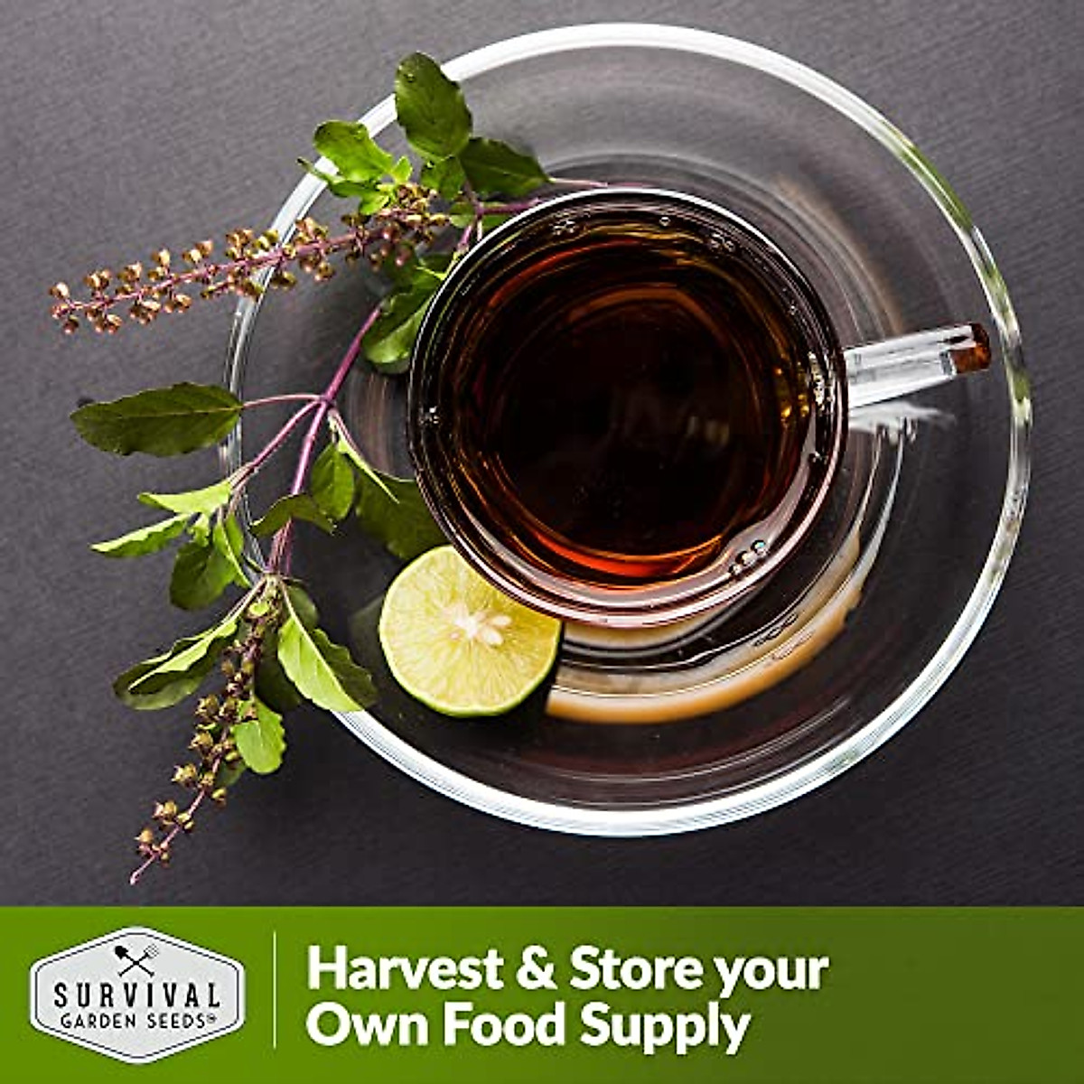 Survival Garden Seeds - Holy Basil Seed for Planting - 5 Packs with Instructions to Plant and Grow The Indian Sacred Herb Tulsi in Your Home Vegetable Garden - Non-GMO Heirloom Variety