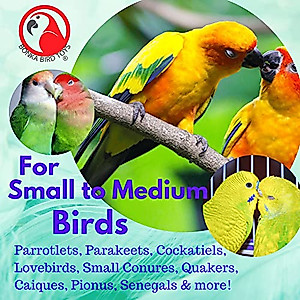 Bonka Bird Toys 1936 Ballspike Bird Toy Parrot cage Toys Cages African Grey Conure Cockatoo