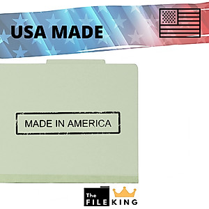 The File King Classification Folders 2 Dividers Letter Size - Light Green, 10 Pack | Pressboard Classification Folder | 2-Inch Expansion | Made in USA | Medical File Folders with Dividers and Prongs