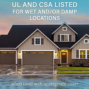 Legrand Pass & Seymour WPB342 Weatherproof Outdoor Box, 2 Gang, 4 Hole 3/4", 30.5 Cubic Inch, Gray (1 Count)