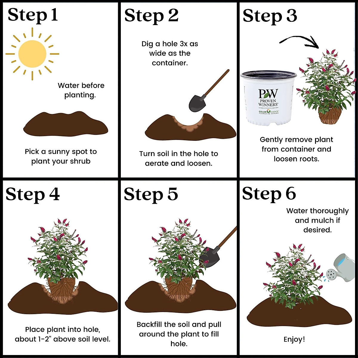 Proven Winner Miss Molly Buddleia 2 Gal, Pink and Red Blooms
