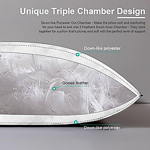 APSMILE Medium Firm Feather Down Pillows Standard Size Set of 2, Luxury Feather Pillow for Sleeping, Organic Cotton Cover Hotel Collection Bed Pillow (White, 20"x26")