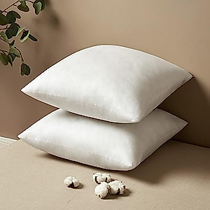 MIULEE 18x18 Pillow Inserts Set of 2, Square Decorative Throw Pillows Premium Fluffy Pillow Forms Sham Stuffer for Living Room Sofa Couch Bed