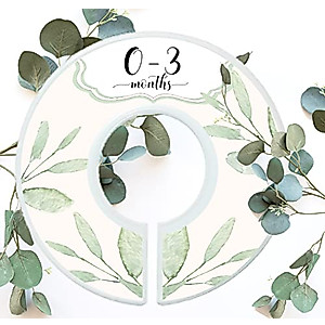 Mumsy Goose Baby Girl Clothes Dividers Nursery Closet Dividers Closet Organizers Botanical