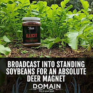 Domain Outdoor Illicit Food Plot Seeds, Fast Growing Variety of Deer Radish, Perfect Seed for Spring, Summer or Fall, Leafy Greens, Sugar-Filled Tap Root, Up to 8 Tons of Forage Per Acre, 1/2 Acre