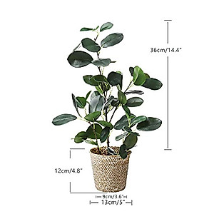 SAROSORA Artificial Ficus Tree Fake Plants in Weaved Pot 20" Height for Living Room Decor Indoor Home Office Ins Style (Green, 1)