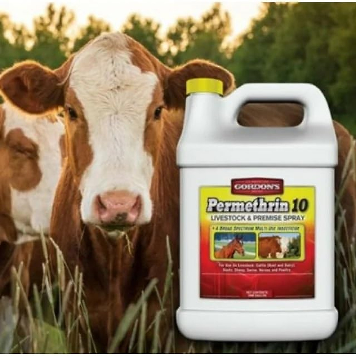 GORDON'S Permethrin 10 Livestock & Premise Spray, 1 Gallon, 9291072