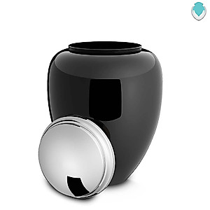GetUrns Adult Tribute Hummingbird Cremation Urn (Black and Shiny Pewter)