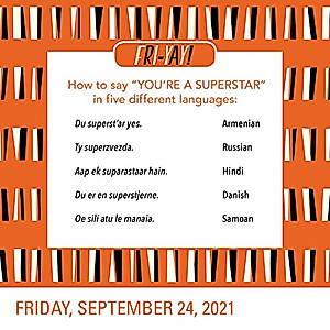 You Are Doing a Freaking Great Job Page-A-Day Calendar 2021