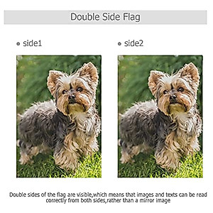 Hokkien Little Yorkshire Terrier Dog Garden Flag Double Sided 12 x 18 Inch, Yard Flags, Decorative Small Garden Flags, Outdoor Lawn and Garden Décor